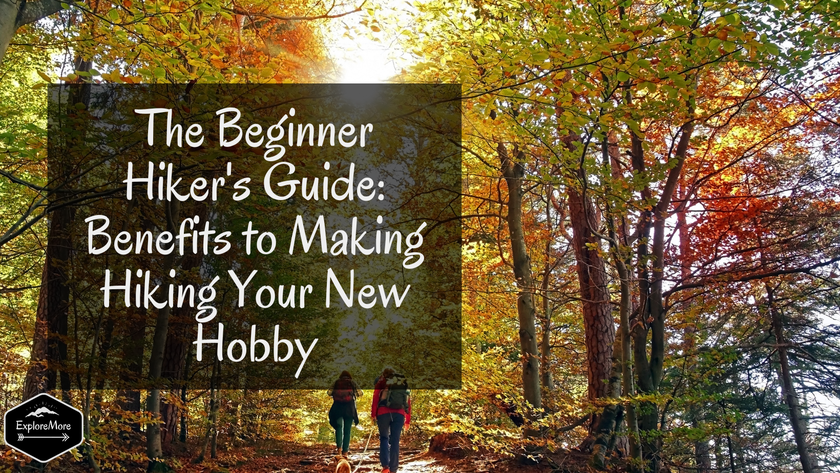 The Beginner Hiker's Guide: Benefits to Making Hiking Your New Hobby ...
