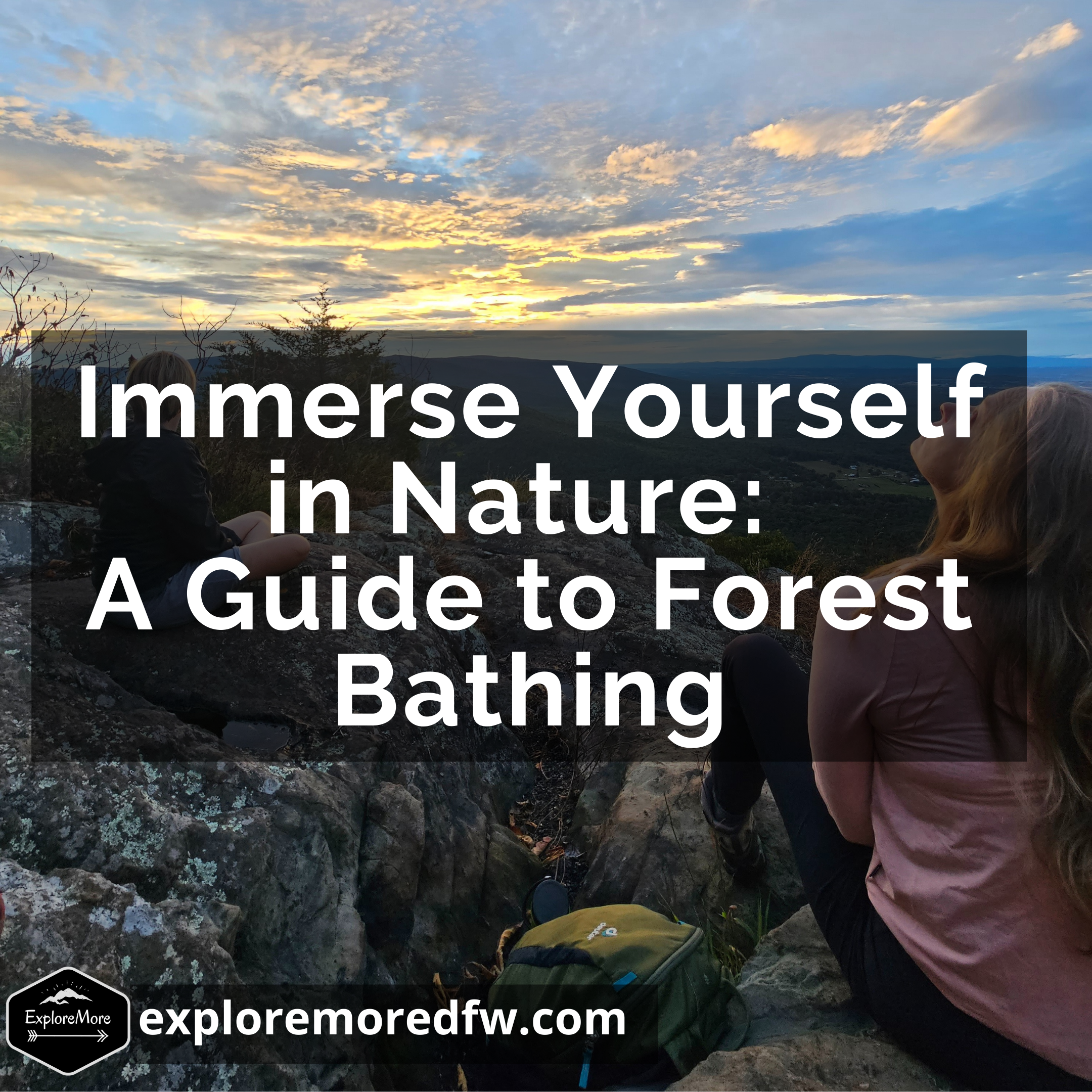 Immerse Yourself in Nature: A Guide to Forest Bathing – ExploreMore
